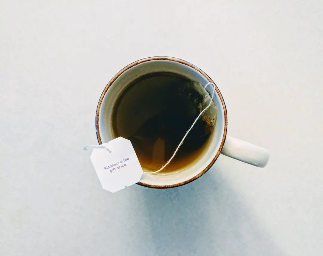 Discover the 10 Best Tea Bag Brands You Must Try in 2024! 🍵 - Tea Brands